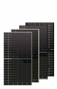 Home - Exiom Solution